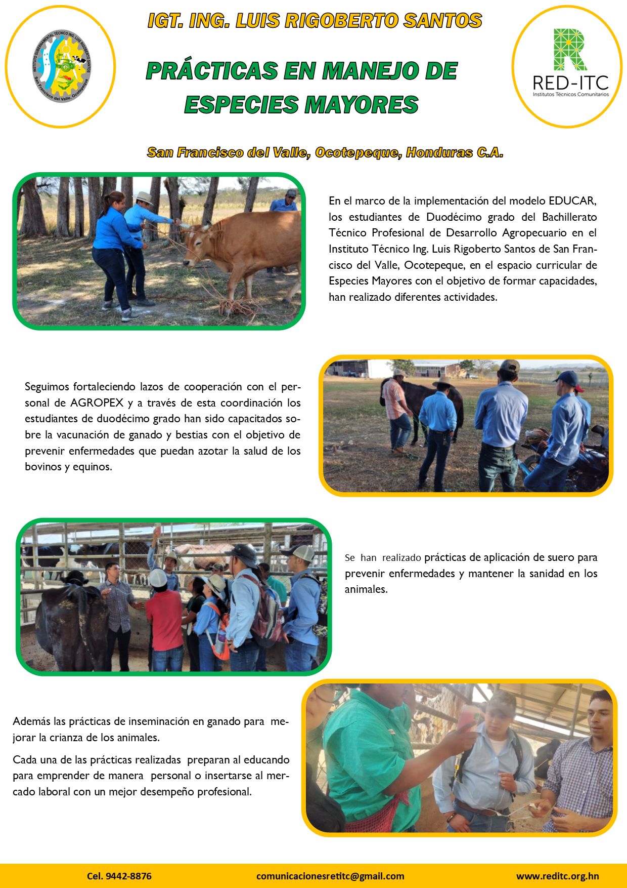 PRÁCTICAS EN ESPECIES MAYORES - Red ITC