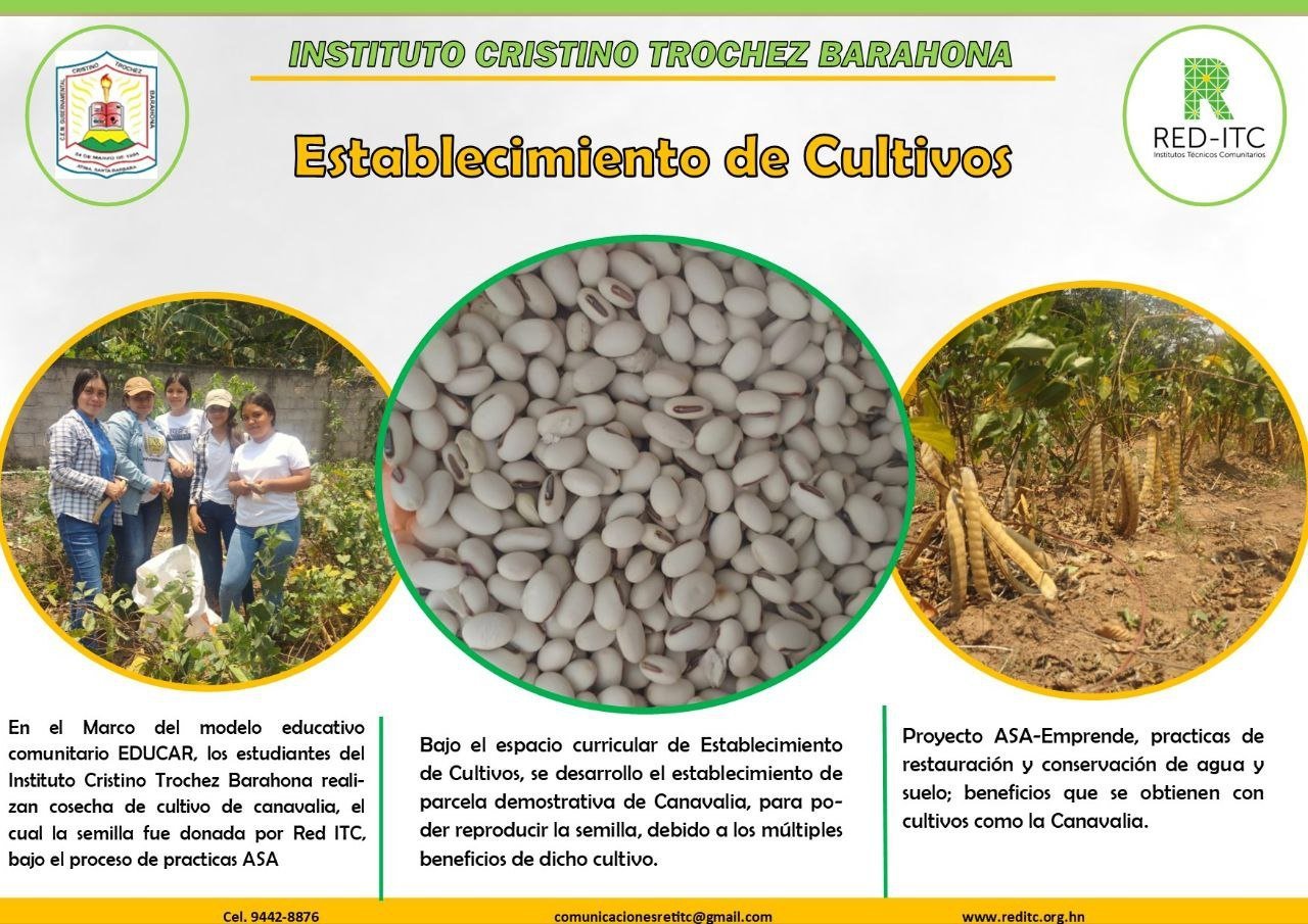 Establecimiento de Cultivos - Red ITC