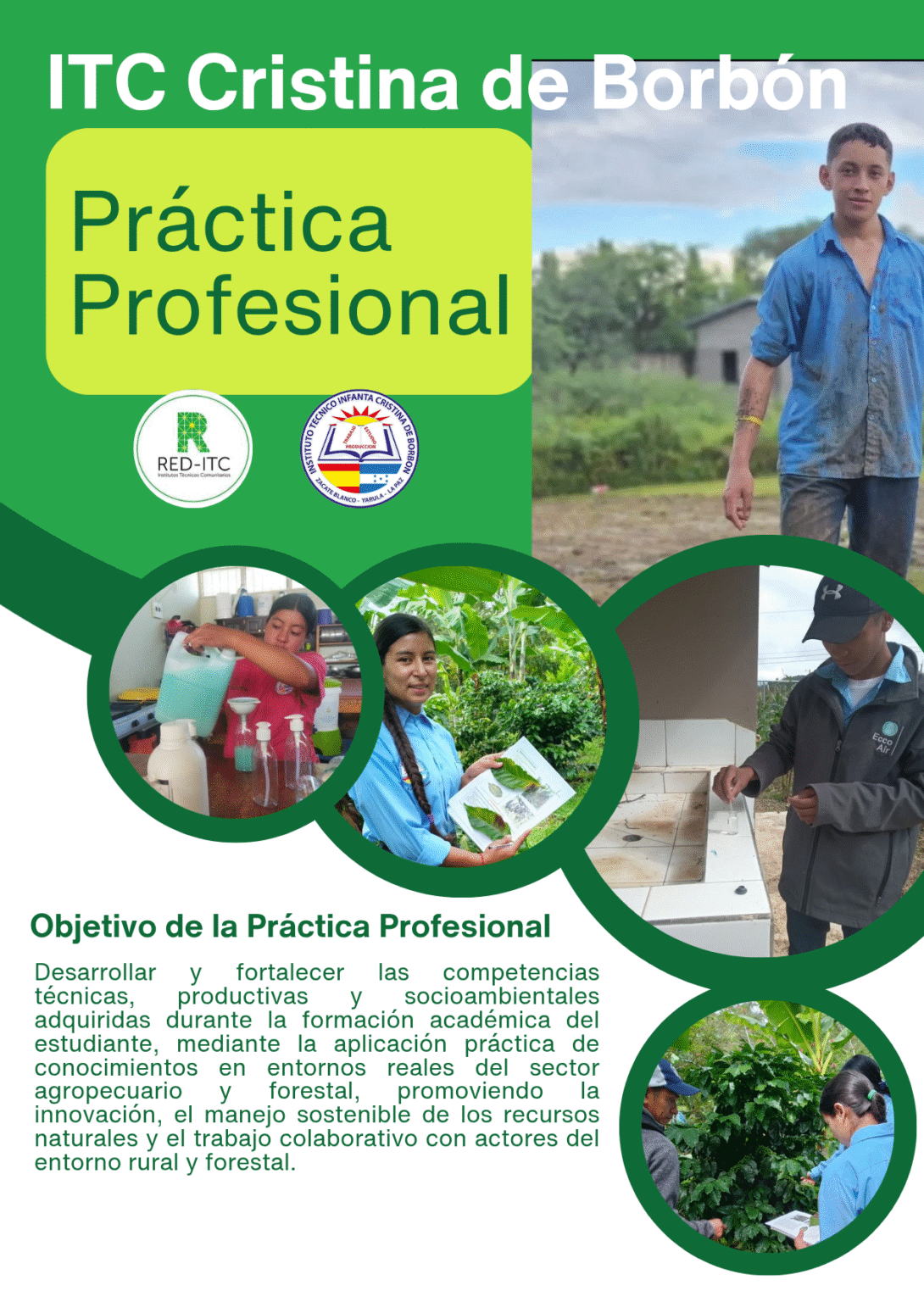Ejecución Práctica Profesional - Red ITC